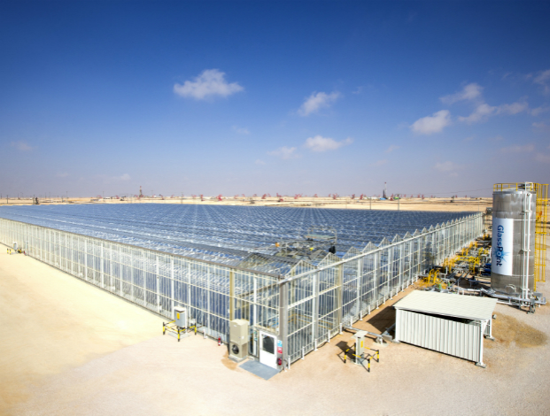 The solar enhanced oil recovery project at the Amal West oilfield - The ...