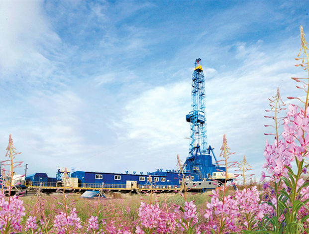 Oil Up, after overnight fall - The Energy Year