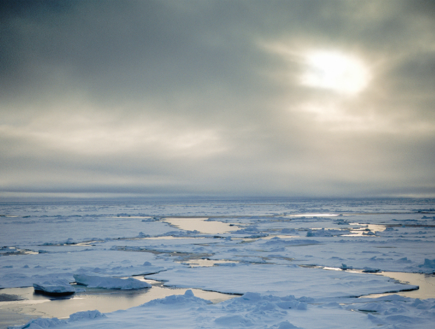 Novatek discovers new Arctic field - The Energy Year