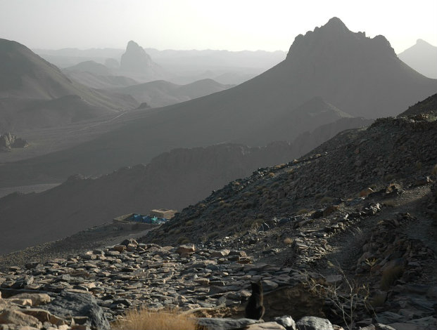 BP kicks off In Salah project in Algeria - The Energy Year