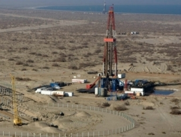 Canamex opts out of Mexico field - The Energy Year