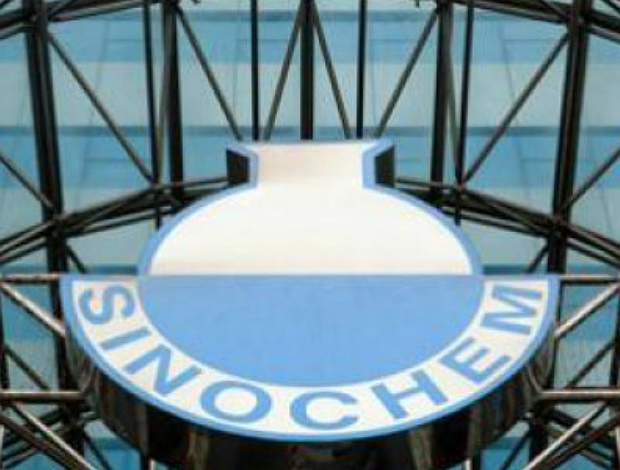 Chinese chemicals behemoth in the making - The Energy Year