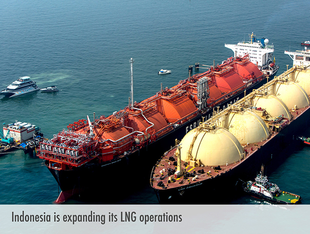 Indonesia - Oil and Gas Industry - The Energy Year