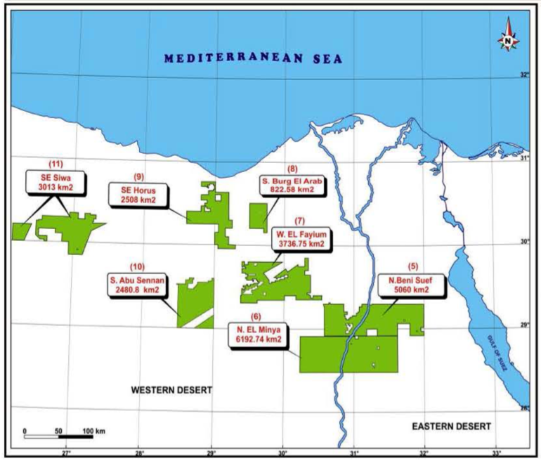 IOCs scoop up new prospects in Egypt bid round - The Energy Year
