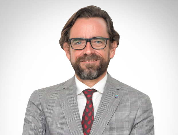 In-demand industry skills for Mozambique - Andrew SCHNITZER DA SILVA ...