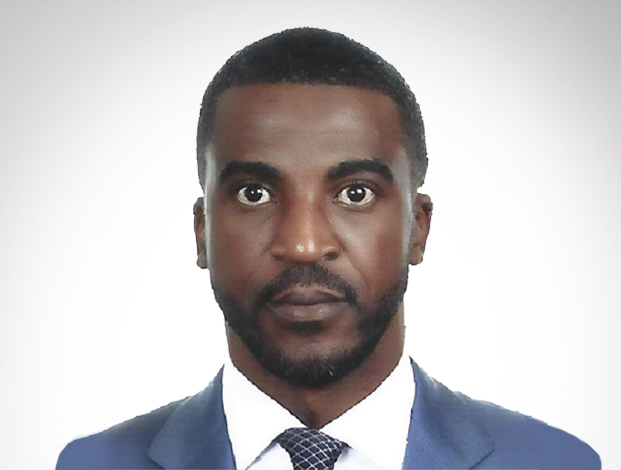 An in-house strategy for services - Alfredo FORTUNATO - The Energy Year