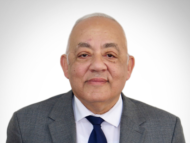 Comprehensive support - Hany Mohamed ABDOUN - The Energy Year