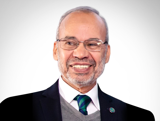 Egypt's upstream opportunities - The Energy Year