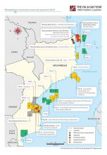 Mozambique concession areas and operators 2019 - The Energy Year