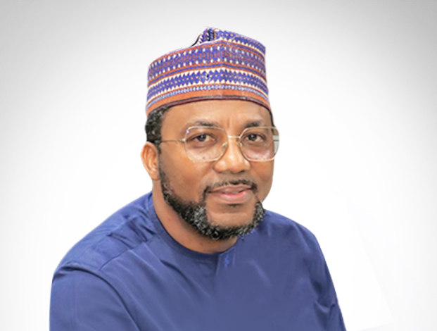 Nigeria’s ports advance with automation and digitalisation - Mohammed ...