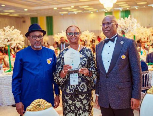 Nigeria International Energy Summit (NIES) - The Energy Year