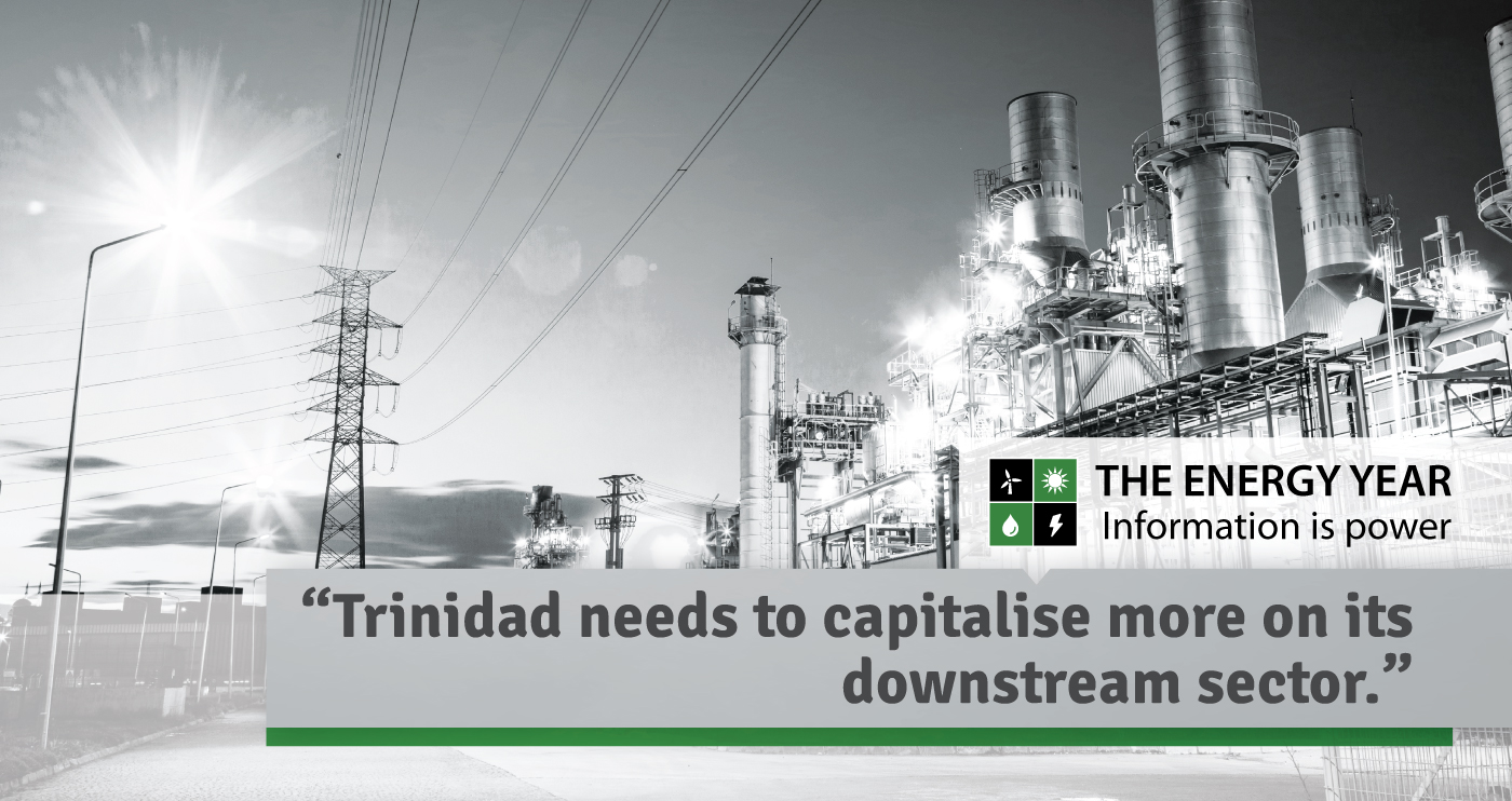 Trinidad’s energy opportunities - Palaash NARASE - The Energy Year