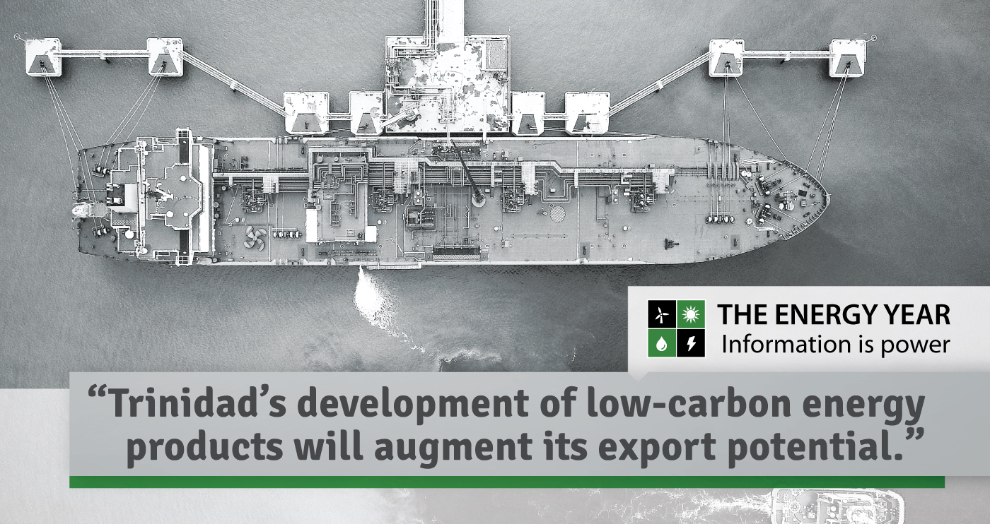 Support for Trinidad’s green energy transition - Carina COCKBURN - The ...