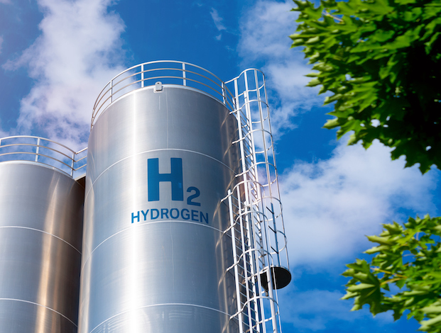 Researchers ID bacterial mix to double bio hydrogen output - The Energy ...