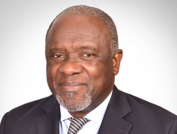 Mozambique’s first grassroots energy asset - Arsénio MABOTE - The ...