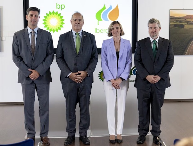 BP, Iberdrola take FID on Spain's largest green hydrogen plant - The ...