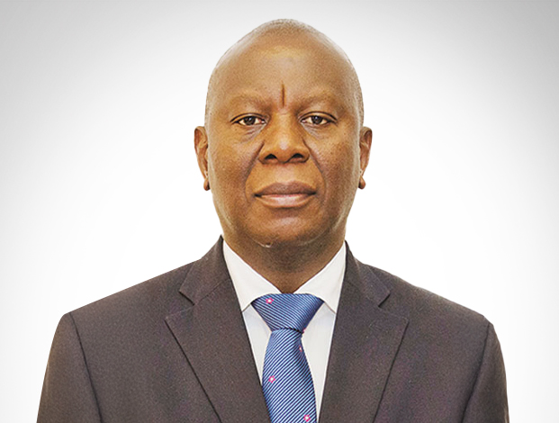 A multi-fuel distribution company to supply Mozambique - Helder CHAMBISSE - The Energy Year