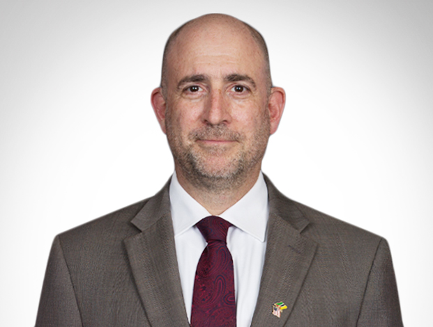 New developments in Mozambican renewables laws - Samuel LEVY - Kaina ...