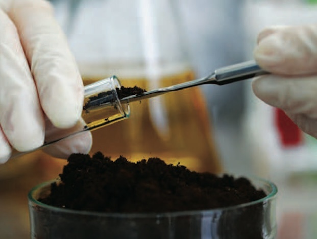 Project highlight: Kuwait’s NKETR and SKETR remediation projects - The Energy Year