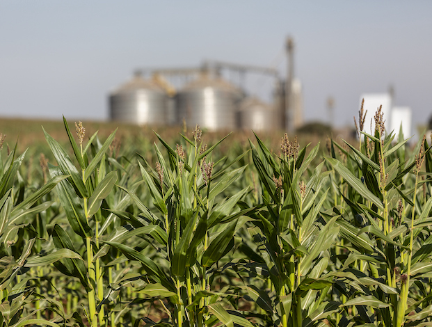 Poland: TotalEnergies sells 50% in biogas player PGB to HitecVision ...