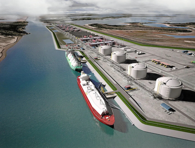 NextDecade makes FID on Train 5 at USA's Rio Grande LNG - The Energy Year